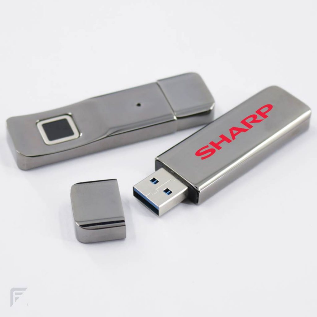 Metal Biometric Finger Print Flash Drive - Flashtify